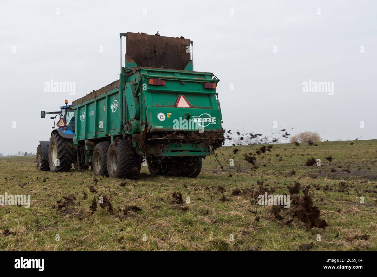 Agriculture in the netherlands hi-res stock photography and images - Alamy