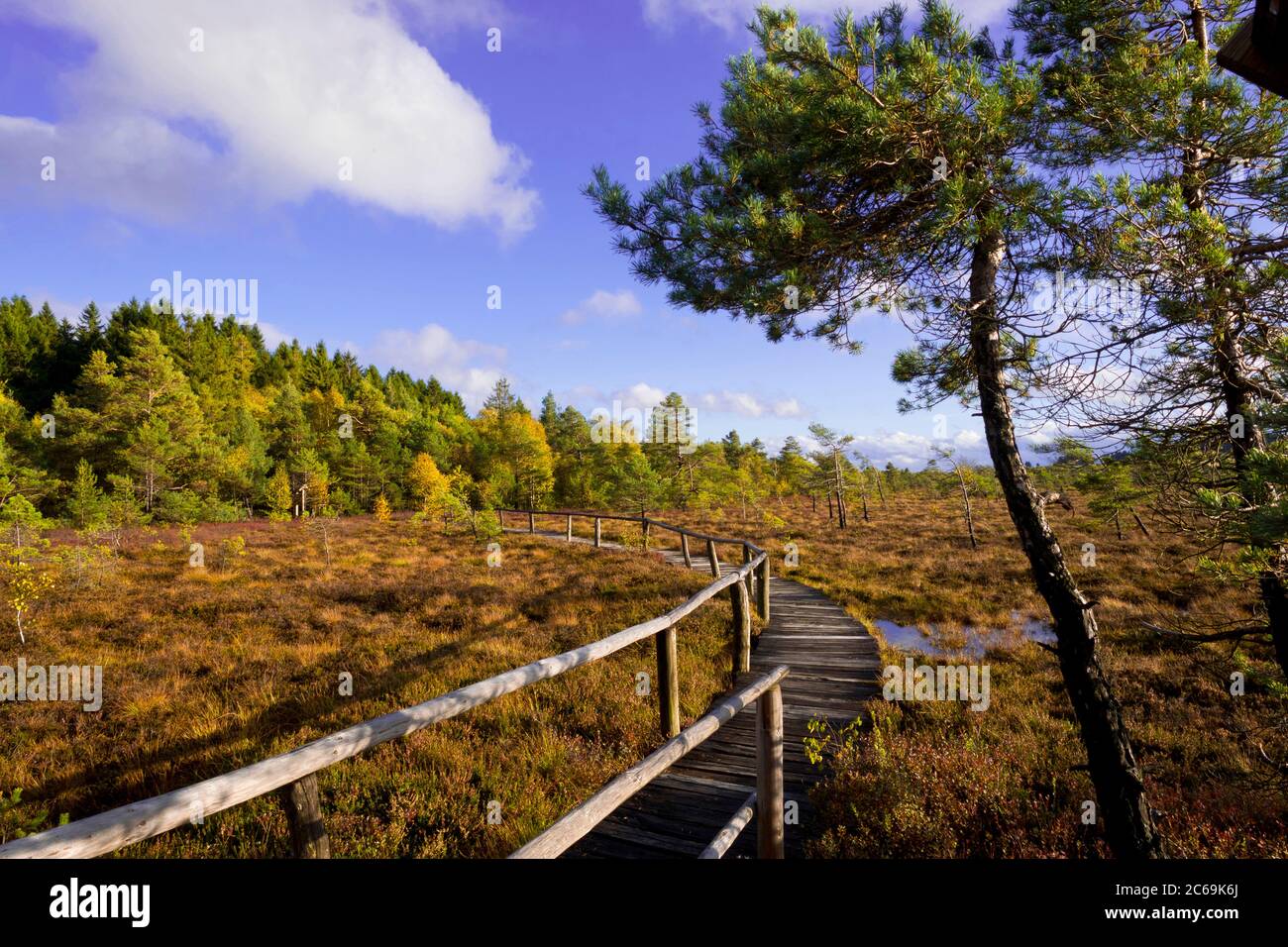 In the rhon biosphere reserve hi-res stock photography and images - Alamy
