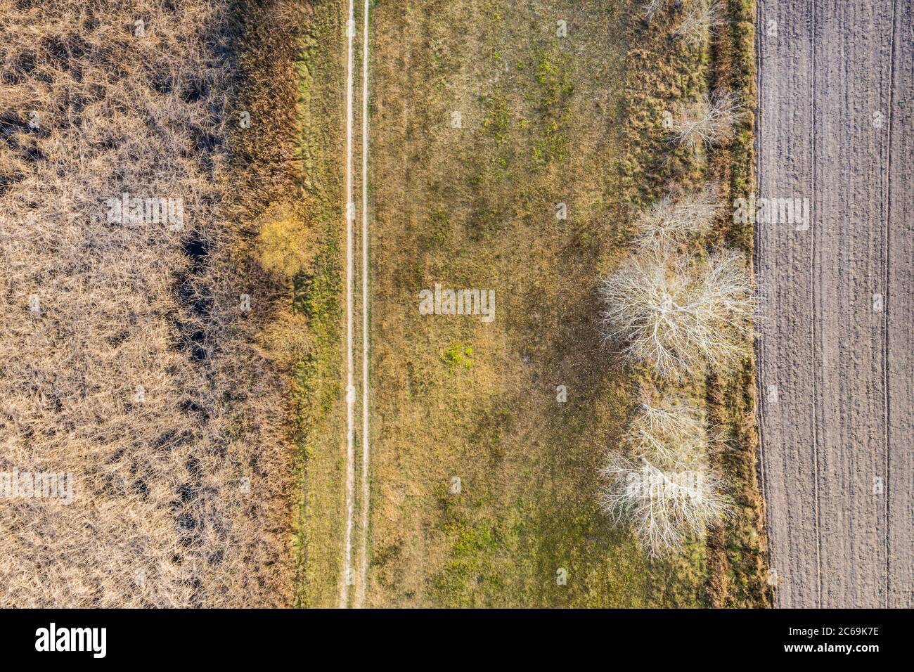 Dry autumn landscape, aerial view of field and forest, artistic ...