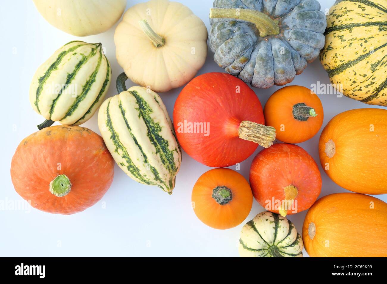 Pumpkins and squashes varieties food background Stock Photo - Alamy