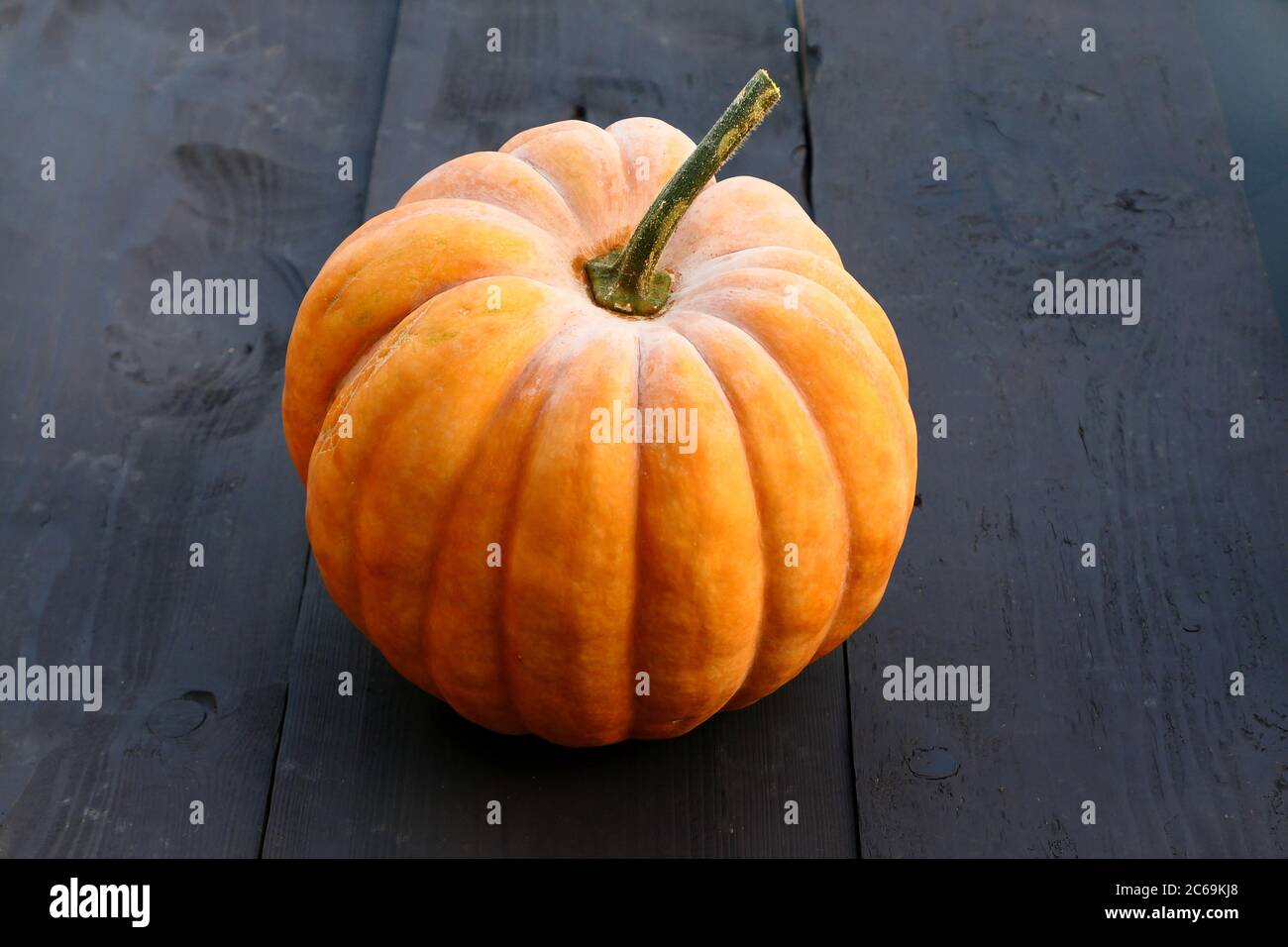 Muscat Squash High Resolution Stock Photography and Images - Alamy