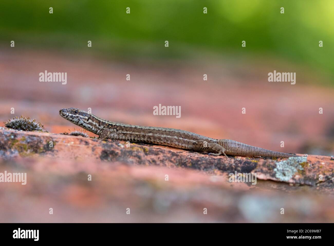 Warming shed hi-res stock photography and images - Alamy