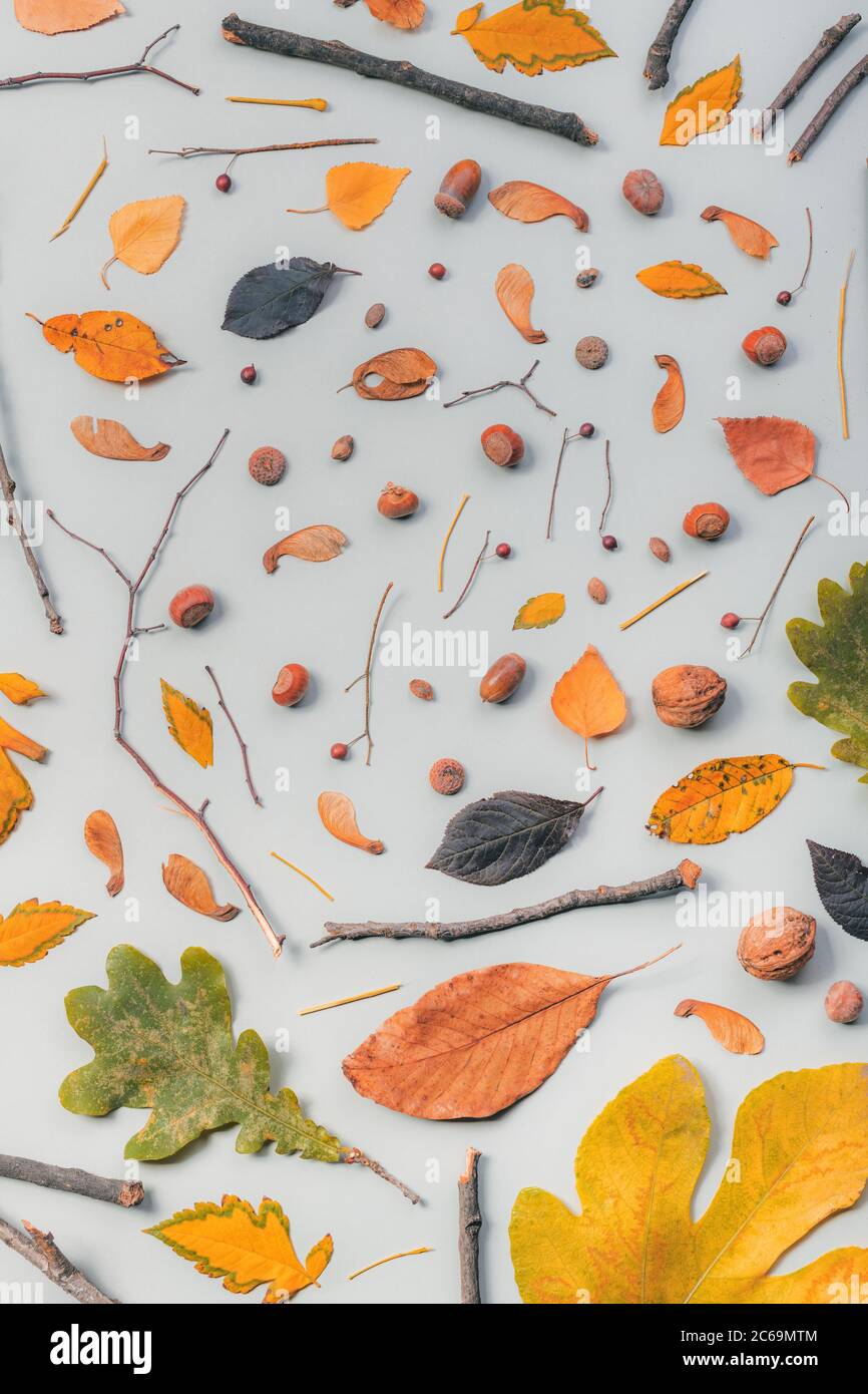 Fall season flat lay decoration background, top view vibrant pattern ...