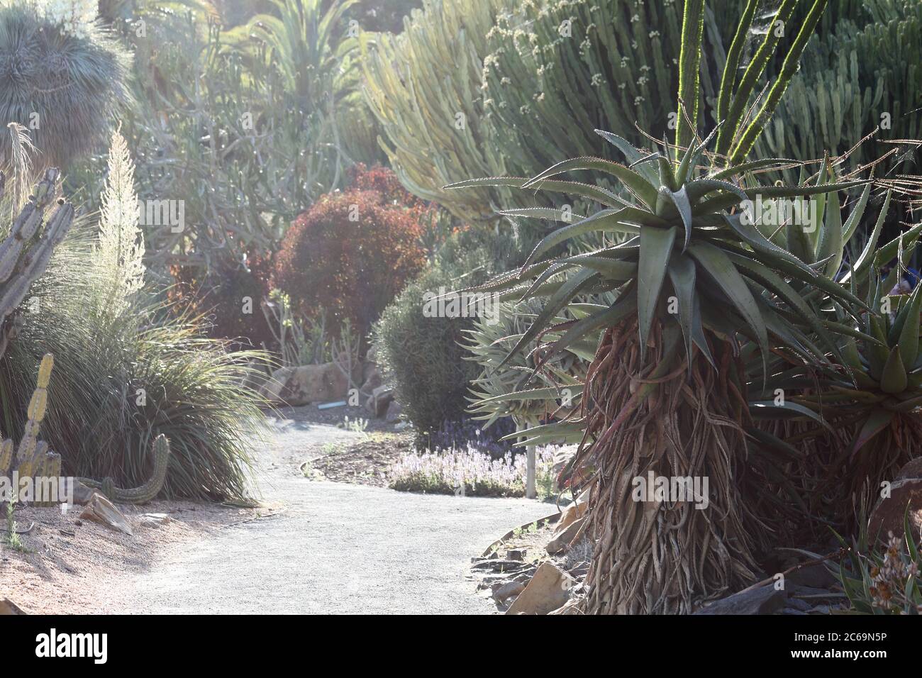 Parque de La Paloma, Benalmádena, Málaga, Spain Stock Photo - Alamy