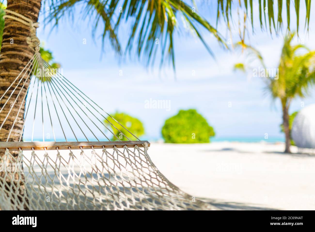 Lying coconut palm tree hi-res stock photography and images - Alamy