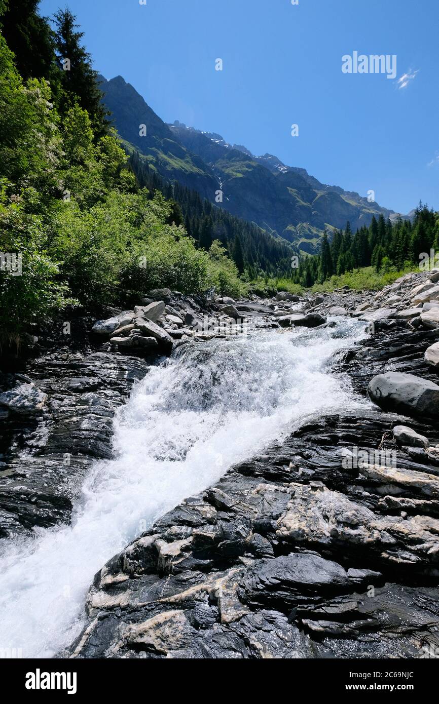 Carnus hi-res stock photography and images - Alamy