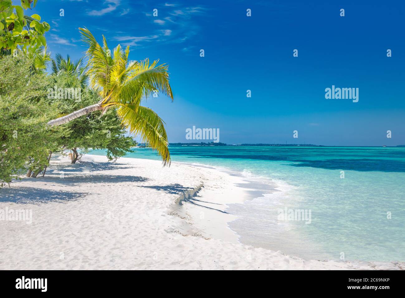 Tropical beach background as summer landscape with beach swing or ...