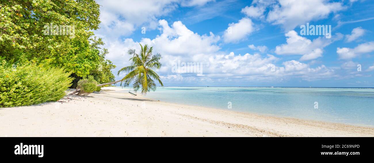 Tropical beach background as summer landscape with beach swing or ...
