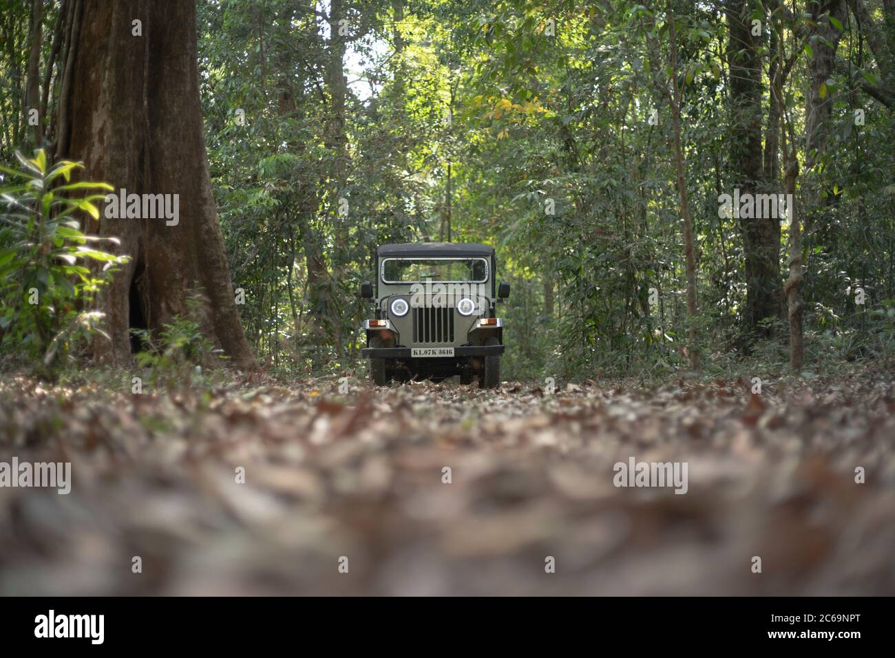 Old jeep on the road hi-res stock photography and images - Alamy