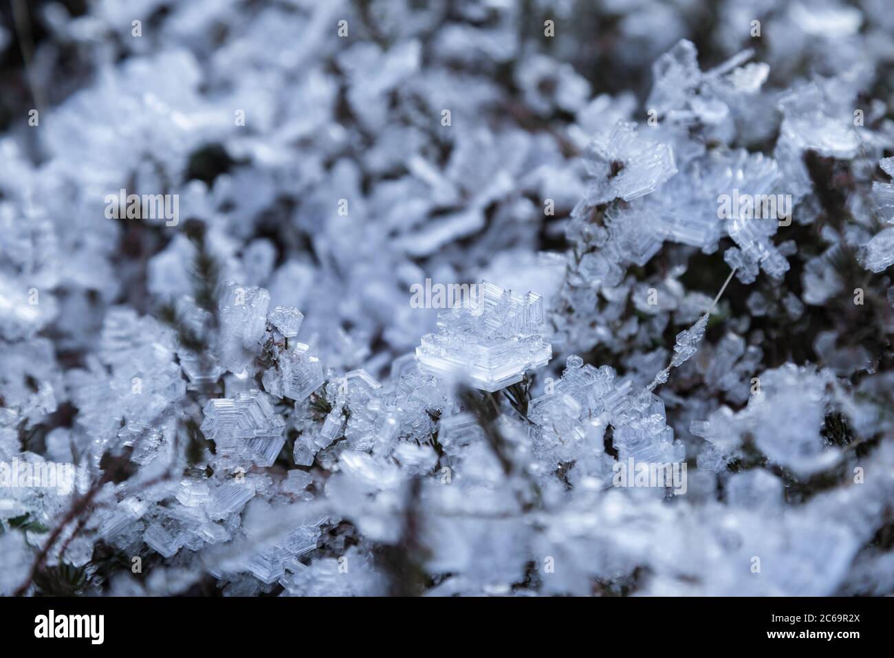Brilliant white snowflake on snow hi-res stock photography and images ...