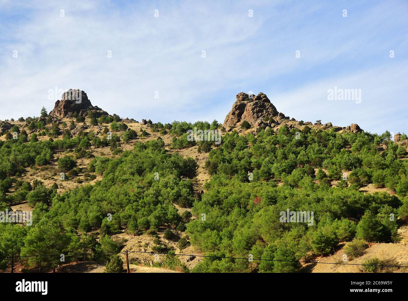 Anatolian forest hi-res stock photography and images - Alamy