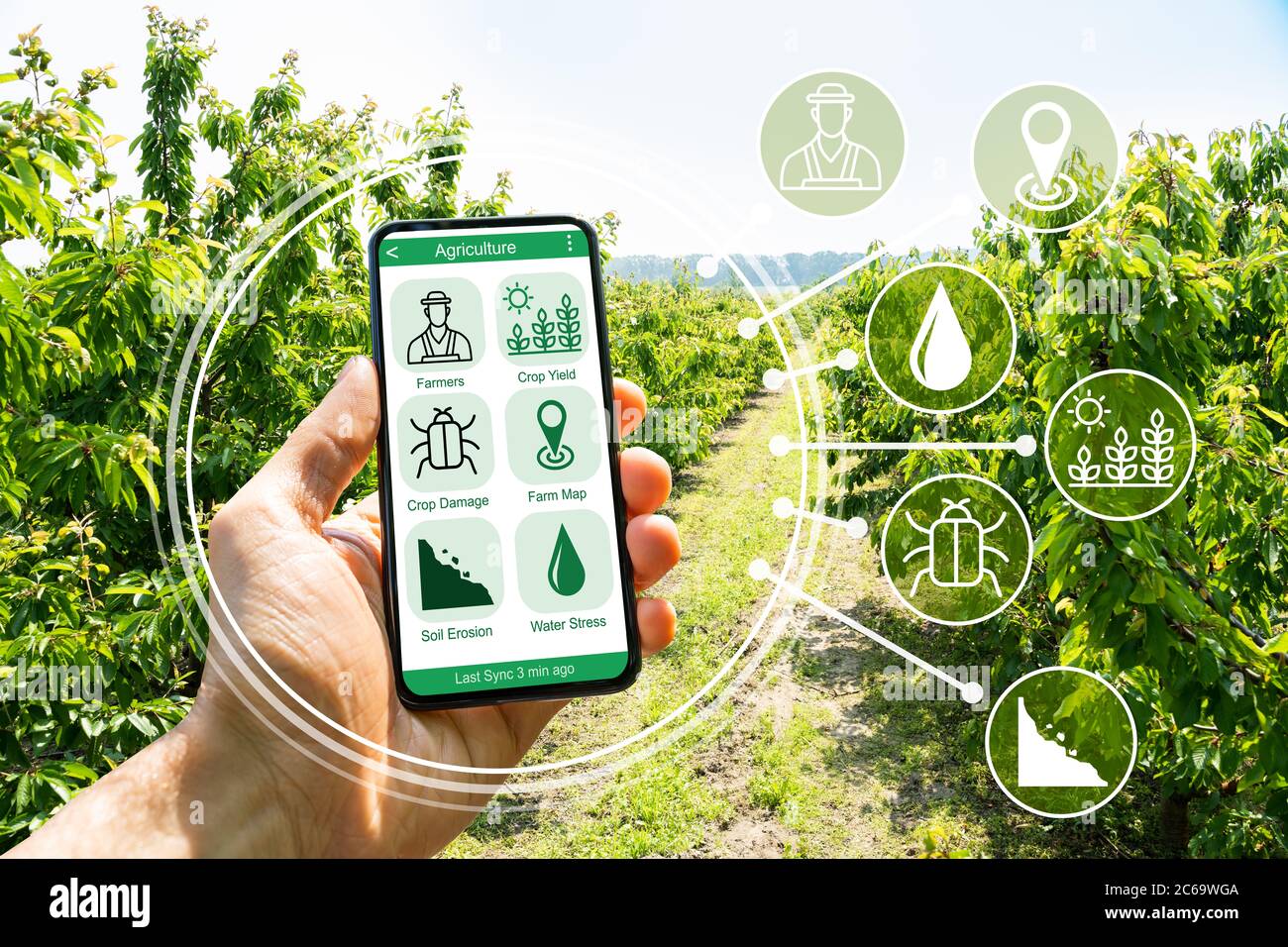 Smart Farming Digital Technology Agriculture App At Farm Stock Photo ...
