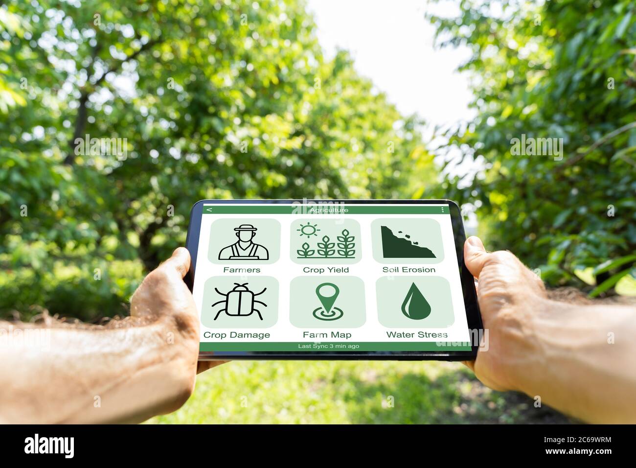 Smart Farming Digital Technology Agriculture App At Farm Stock Photo ...