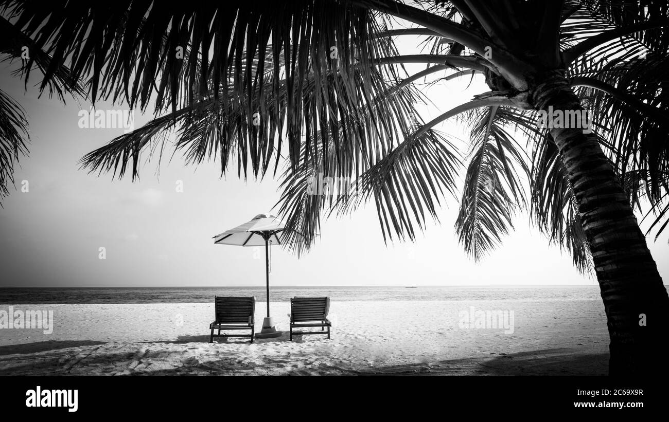 Black And White Beach Landscape