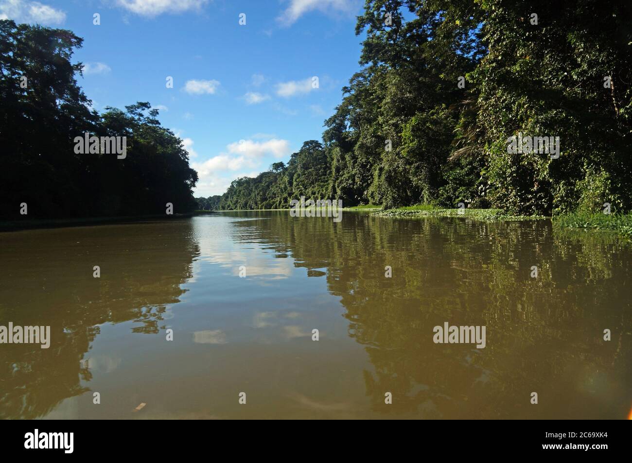 Silent river in the rain forest Stock Photo - Alamy