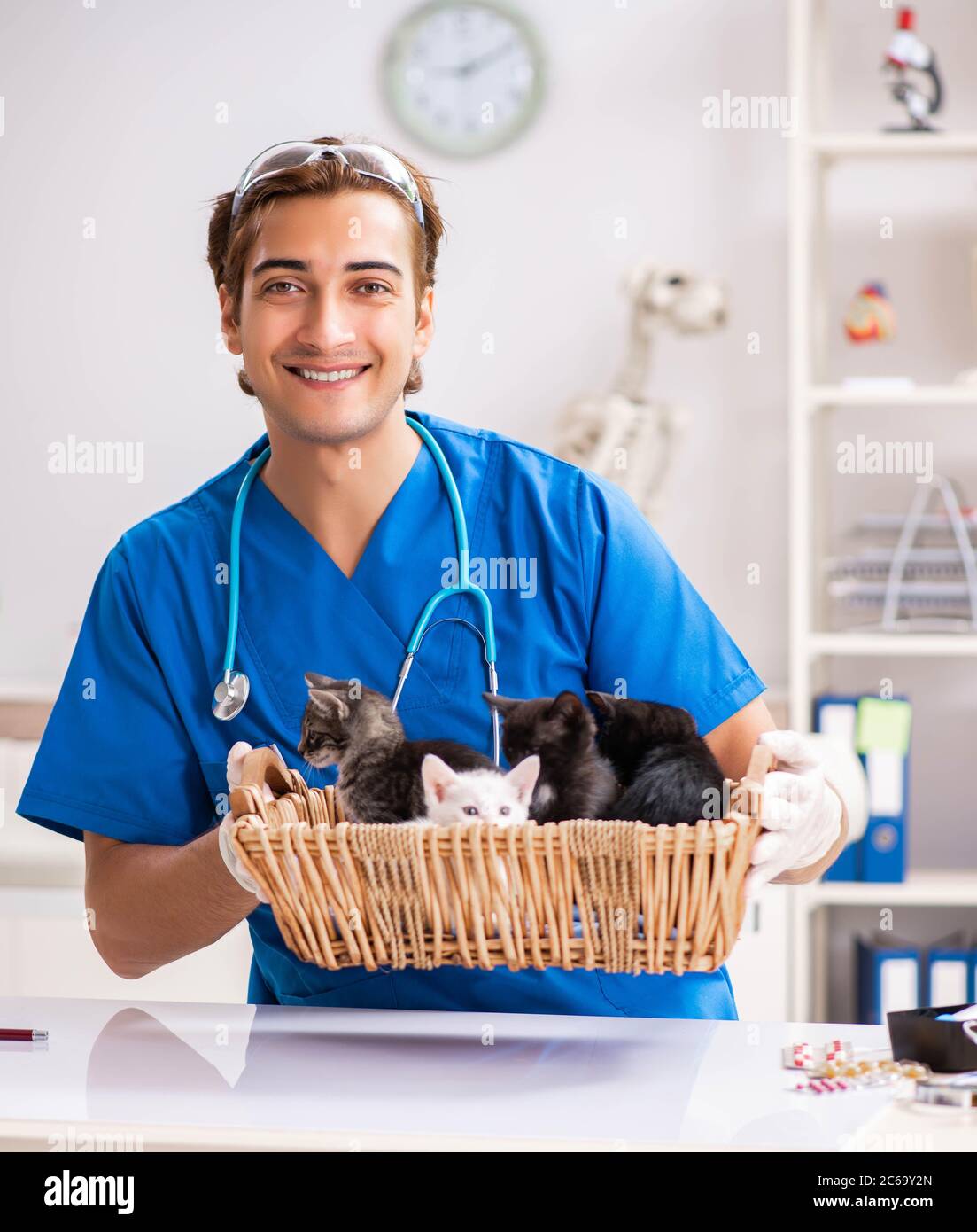 The vet doctor examining kittens in animal hospital Stock Photo - Alamy