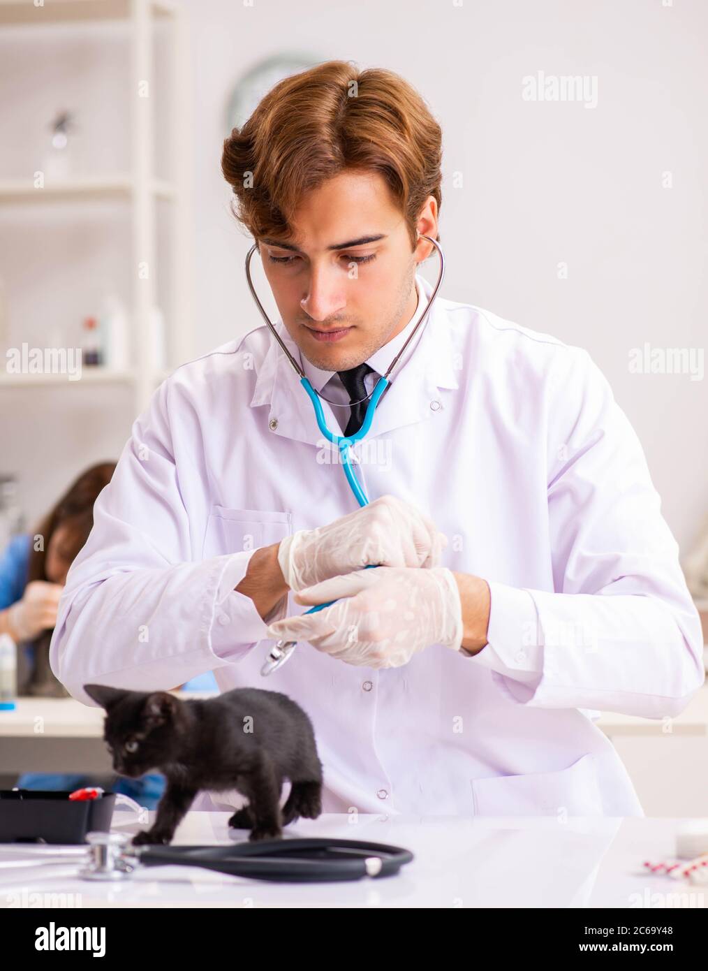 The vet doctor examining kittens in animal hospital Stock Photo - Alamy