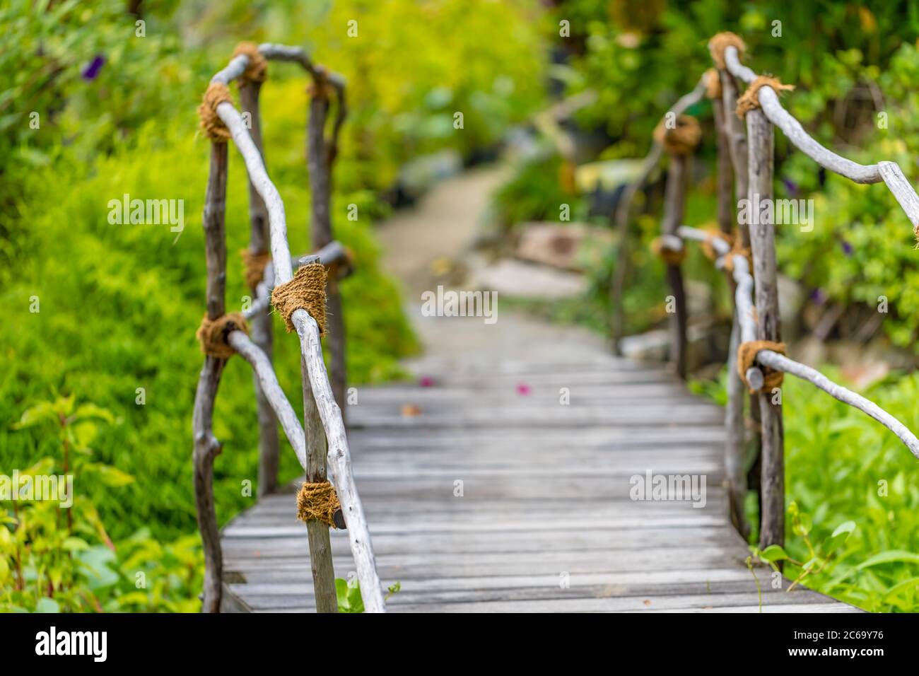 Rope bridge jungle hi-res stock photography and images - Alamy