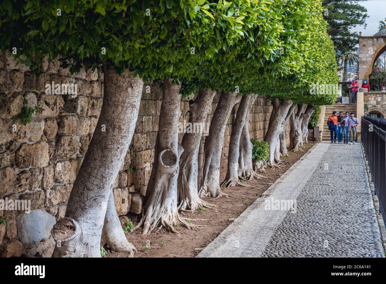 Garden next to monastery of Saint John Marcus of Lebanese Maronite ...