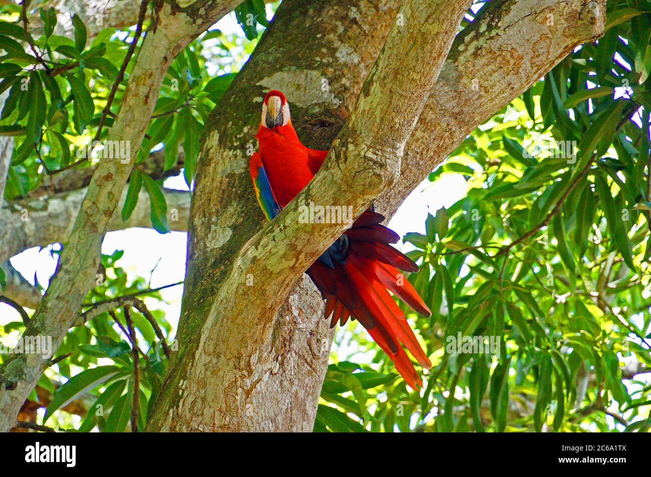 Sitting diagonally hi-res stock photography and images - Alamy