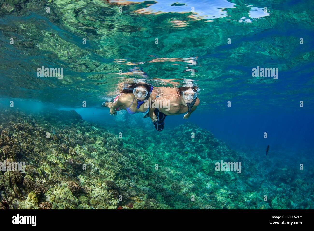 A couple (MR) free diving in clear Hawaiian waters Stock Photo - Alamy