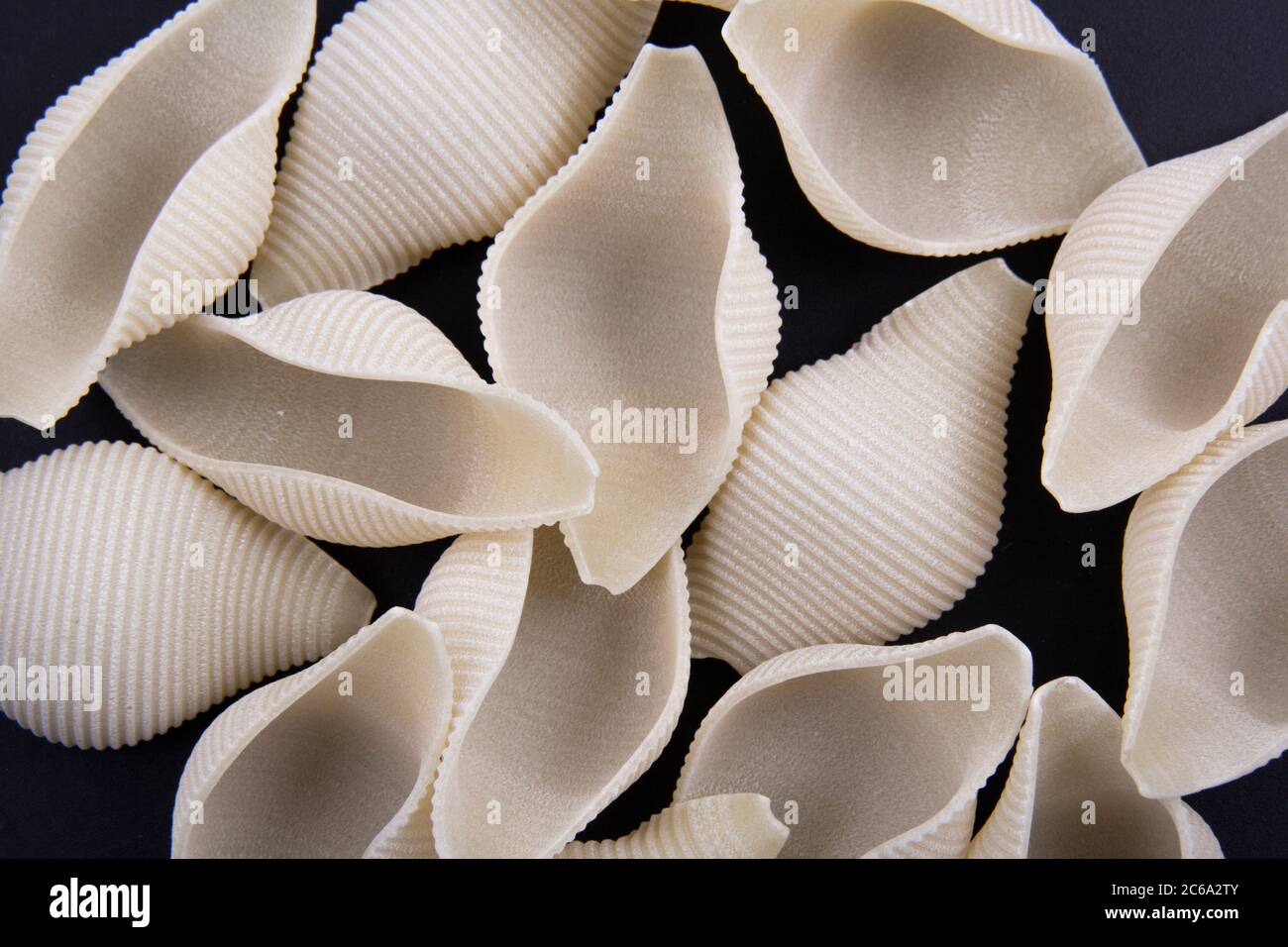 Different shell shapes hi-res stock photography and images - Alamy