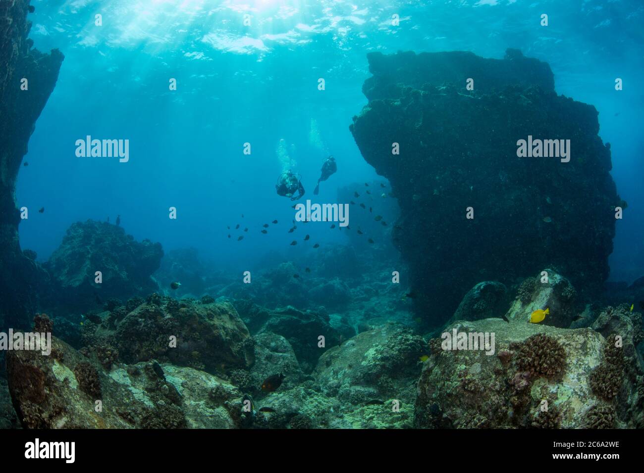 Divers (MR) pictured cruising over a bolder area off Kaiwe Point, Kona ...