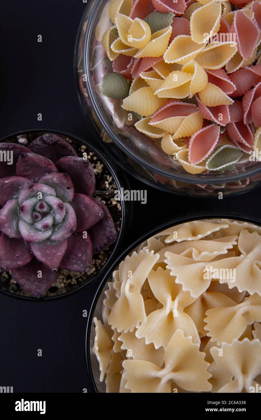 Shaped and colorful pasta in different sizes and colors in small dishes ...