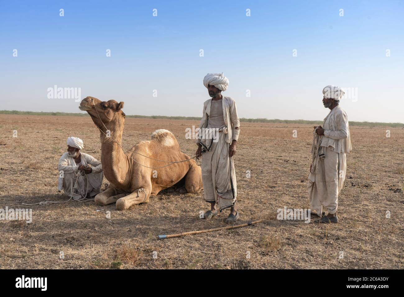 Rabaris hi-res stock photography and images - Alamy