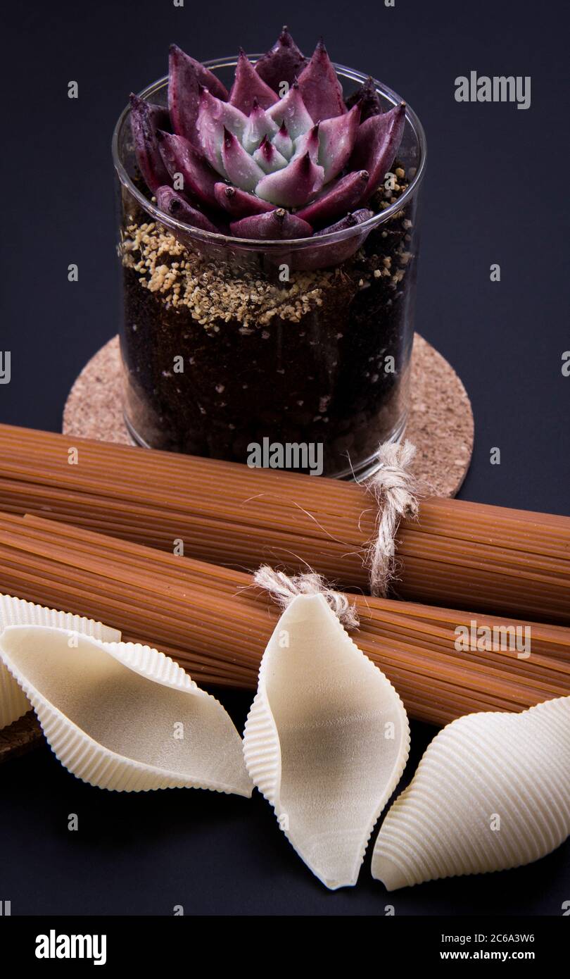Long brown pasta. Pack of brown pasta with macaroni shape and Colorful ...
