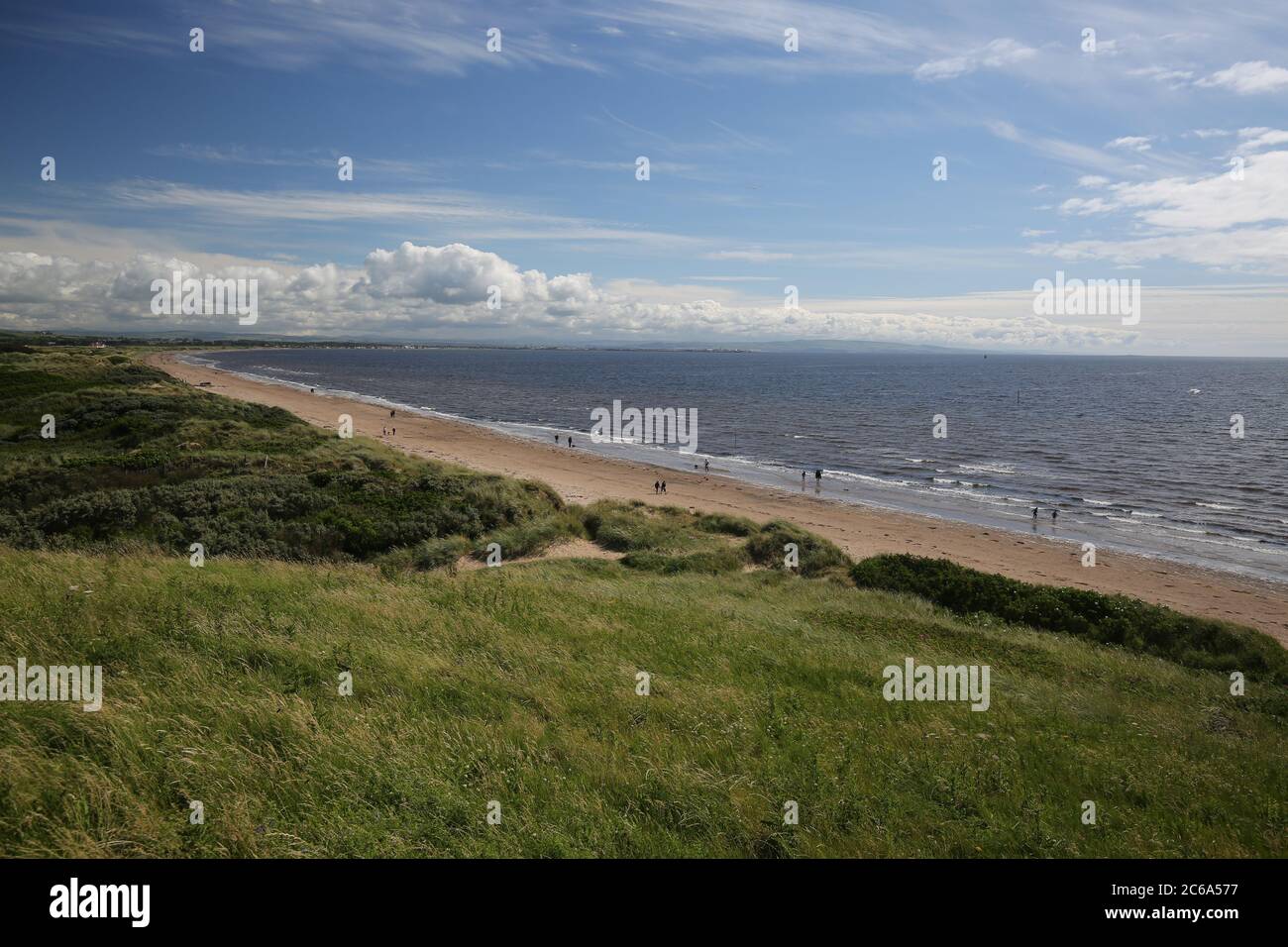 Irvine great park hi-res stock photography and images - Alamy