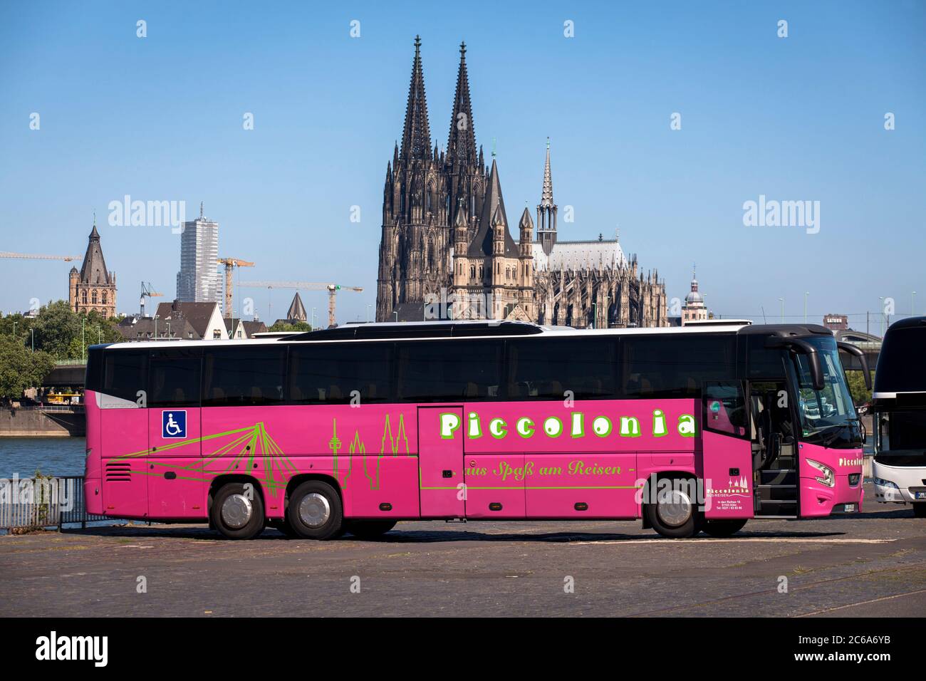 Pink Charter Bus
