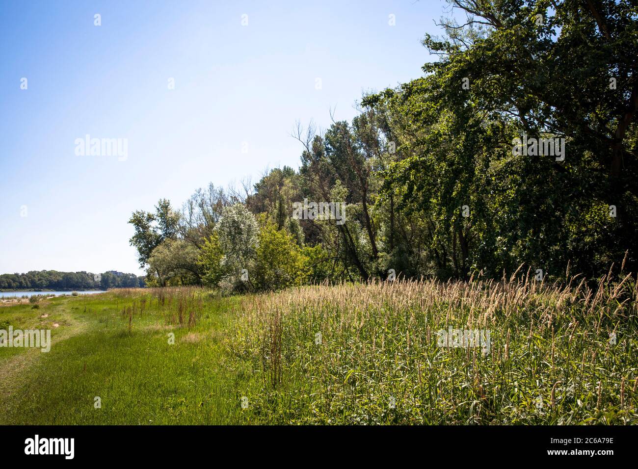 river Rhine meadows and floodplain forest in Rodenkirchen-Weiss ...