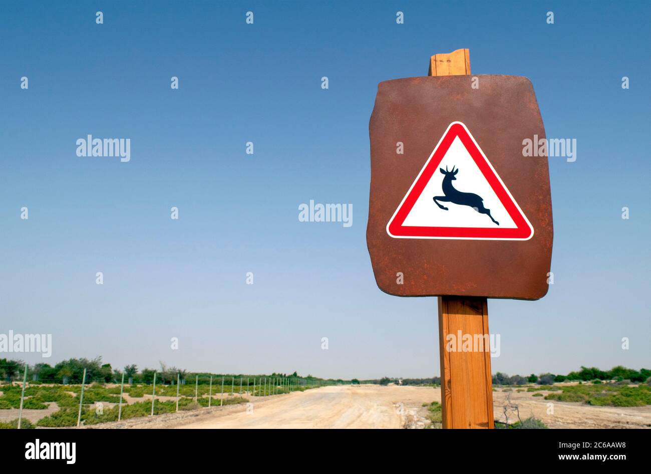 Wild animal crossing road sign. Wild oryx, antelope, gazelle road sign ...