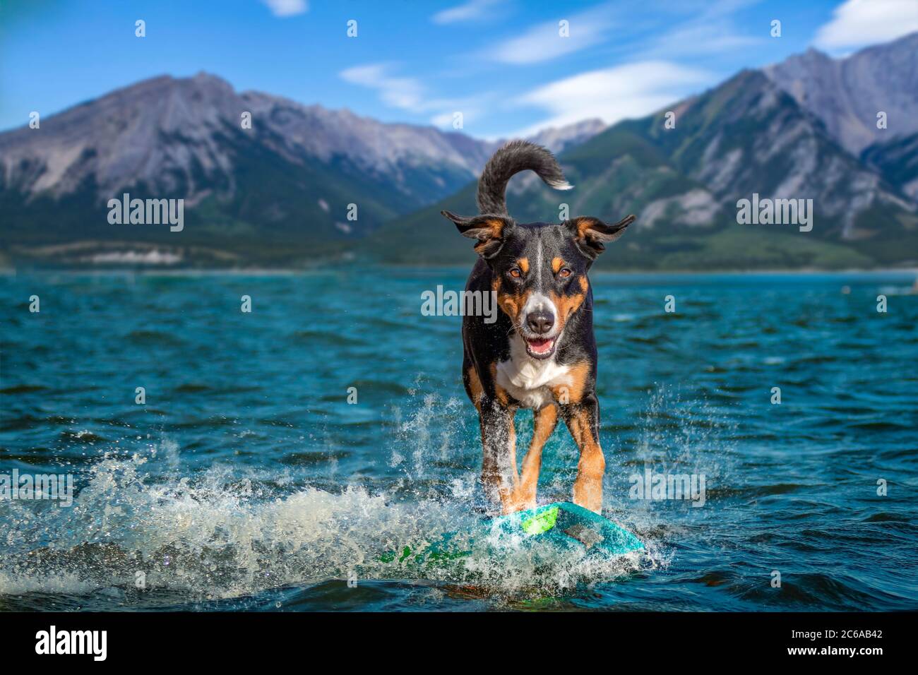 Wave ocean vector hi-res stock photography and images - Alamy