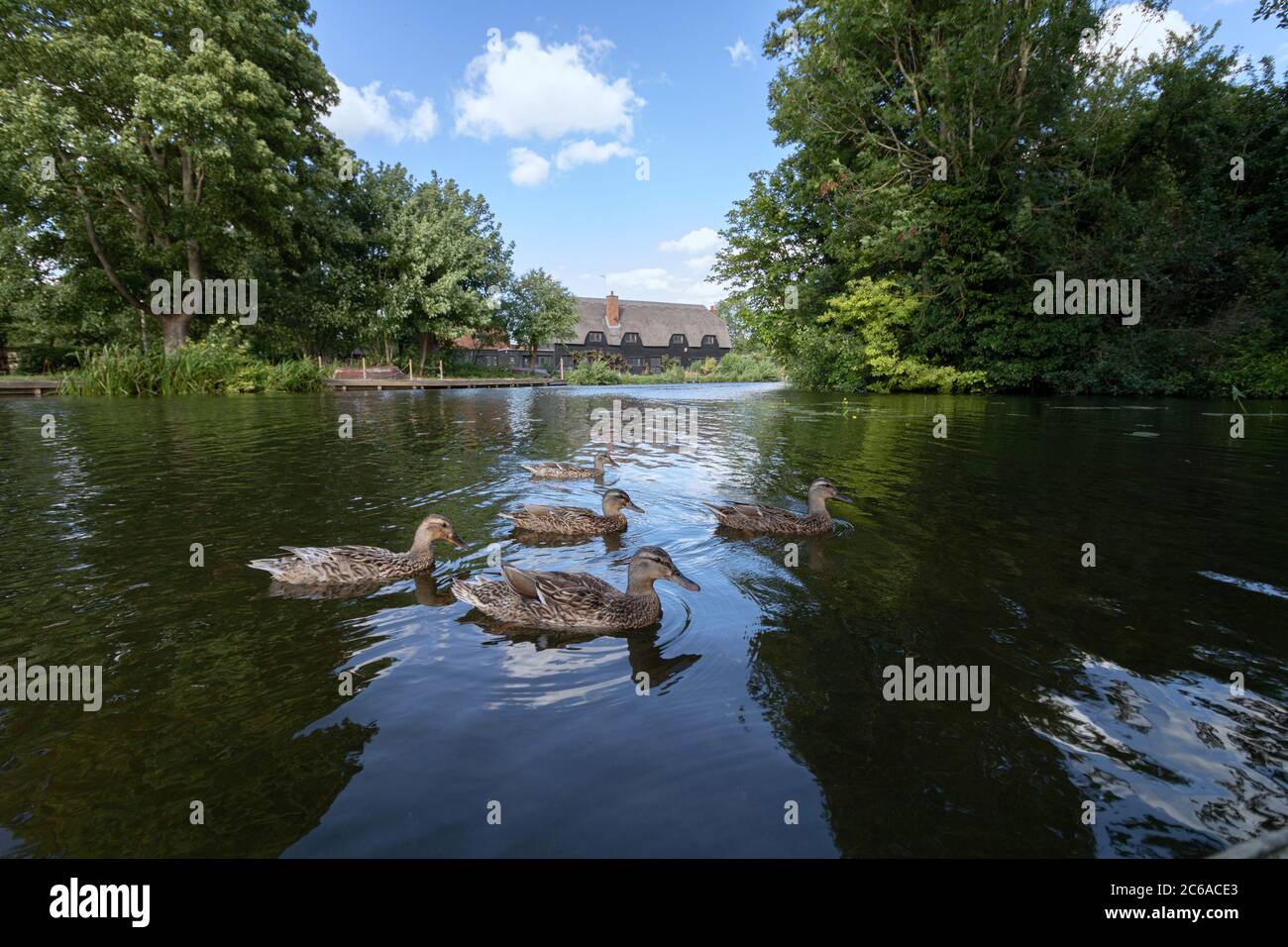 Dedham mill essex hi-res stock photography and images - Alamy
