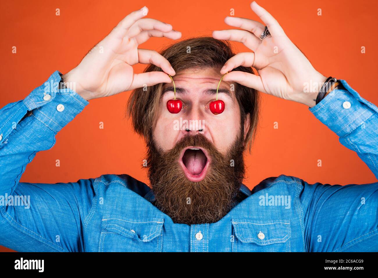 Vegetarian diet concept. bright red juicy cherries. with no chemicals ...