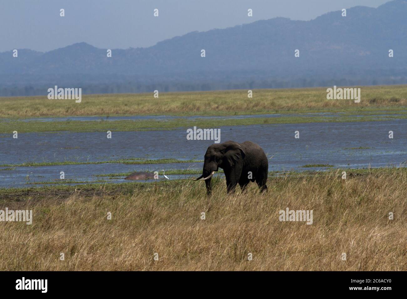 Katisunga mbuga hi-res stock photography and images - Alamy