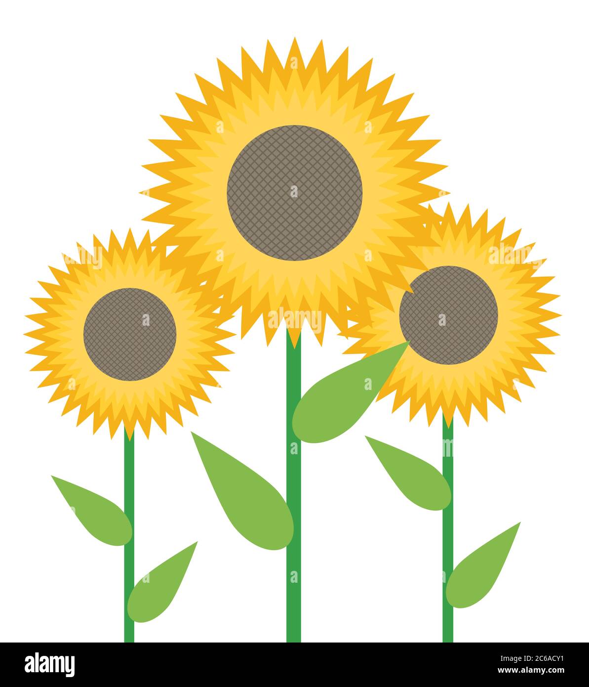 Sunflowers vector vectors hi-res stock photography and images - Alamy