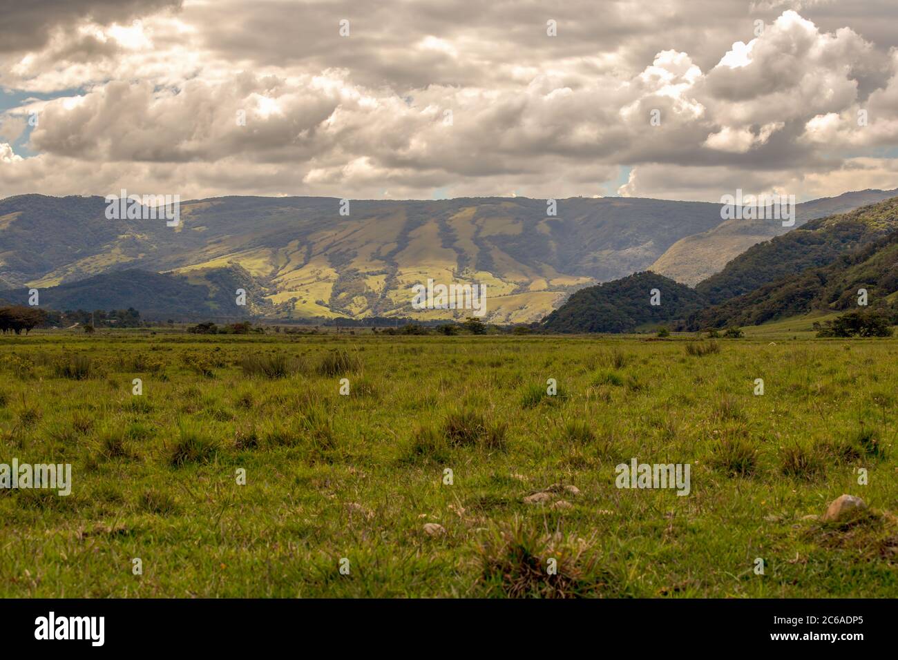 Grass field and the central Andean mountains of Colombia Stock Photo ...