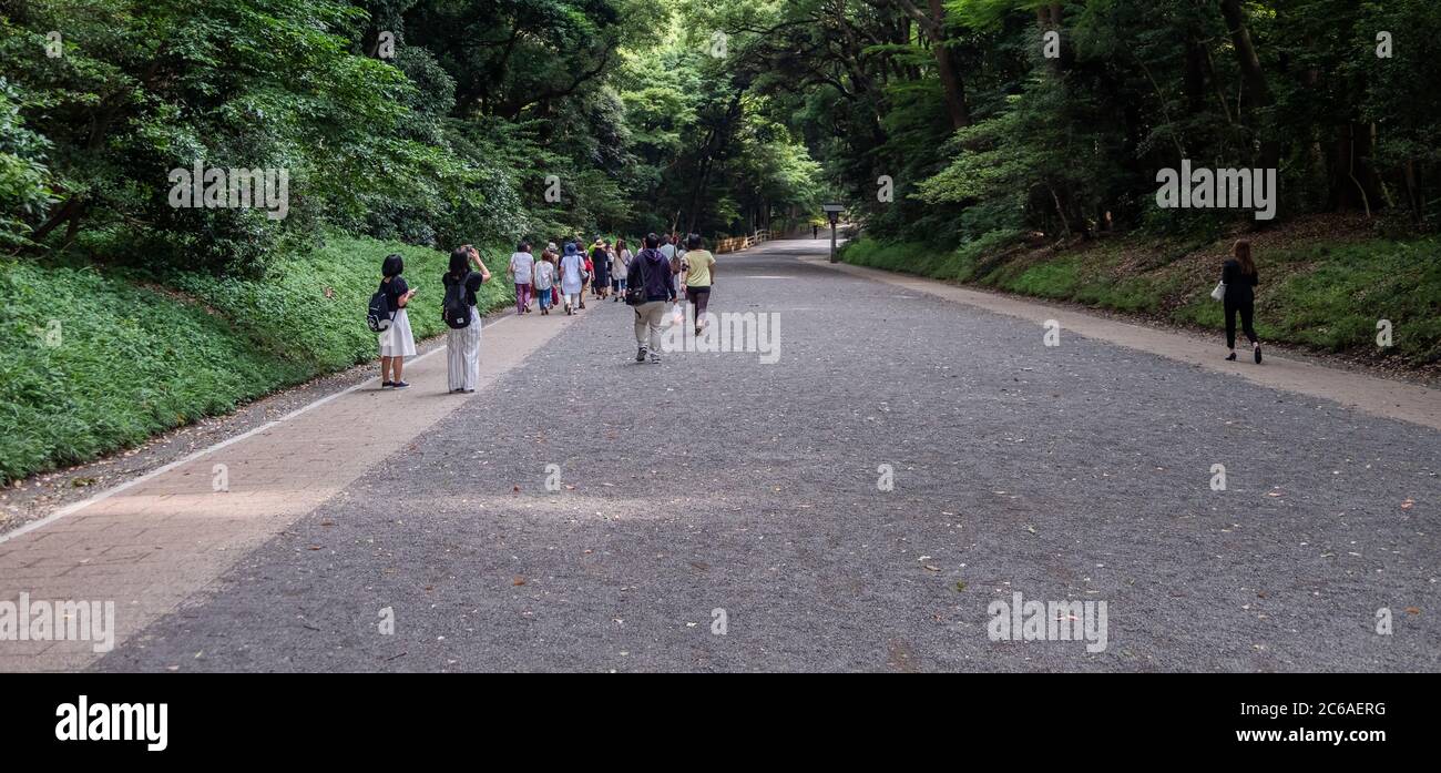 Tourist walking along the gravel path towards Meiji Jingu Shrine, Tokyo ...