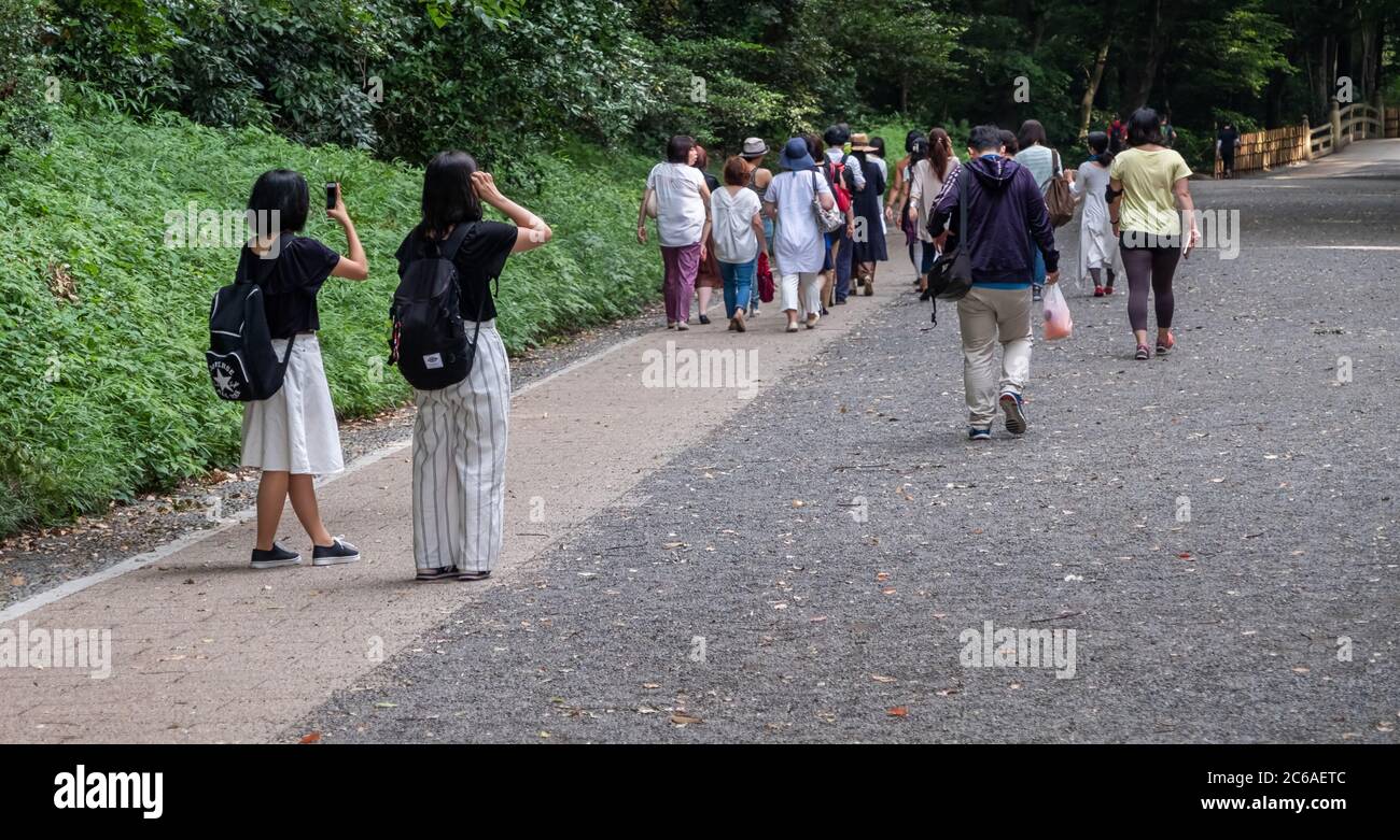 Tourist walking along the gravel path towards Meiji Jingu Shrine, Tokyo ...