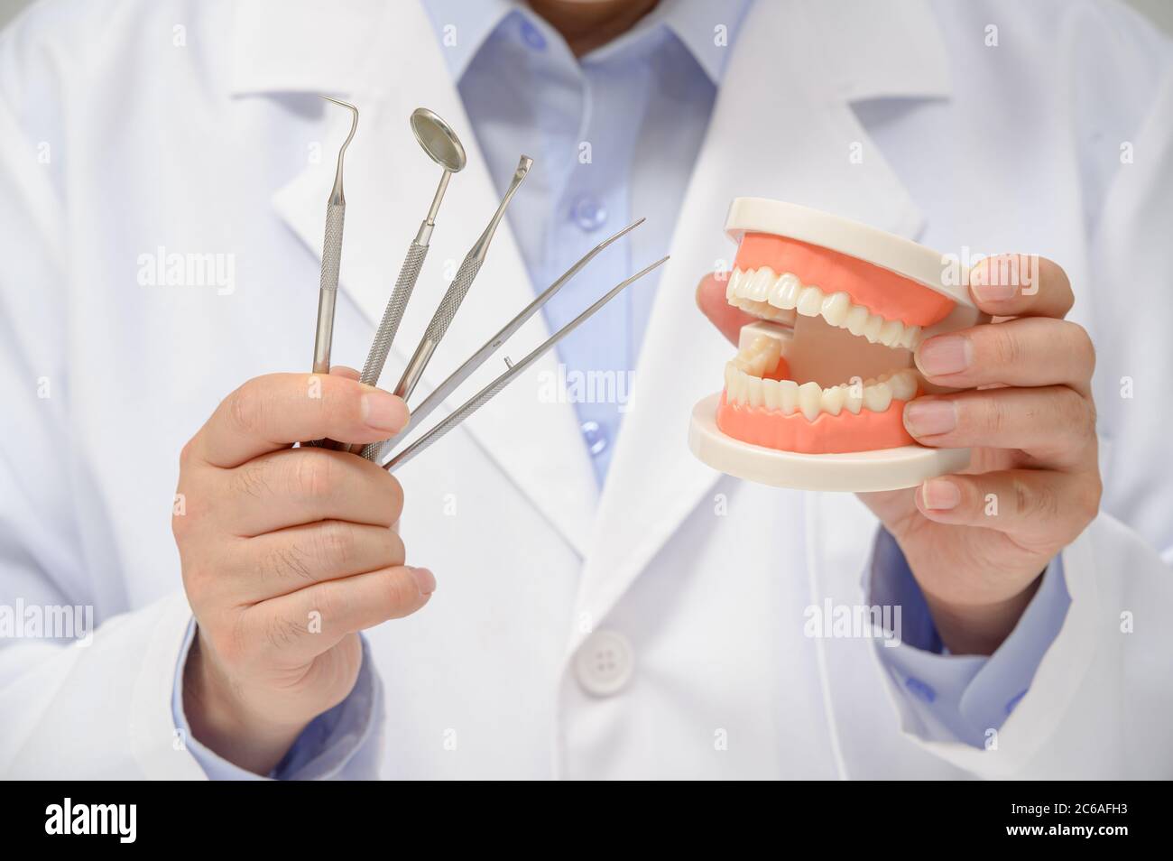 Tooth dentistry model hi-res stock photography and images - Alamy