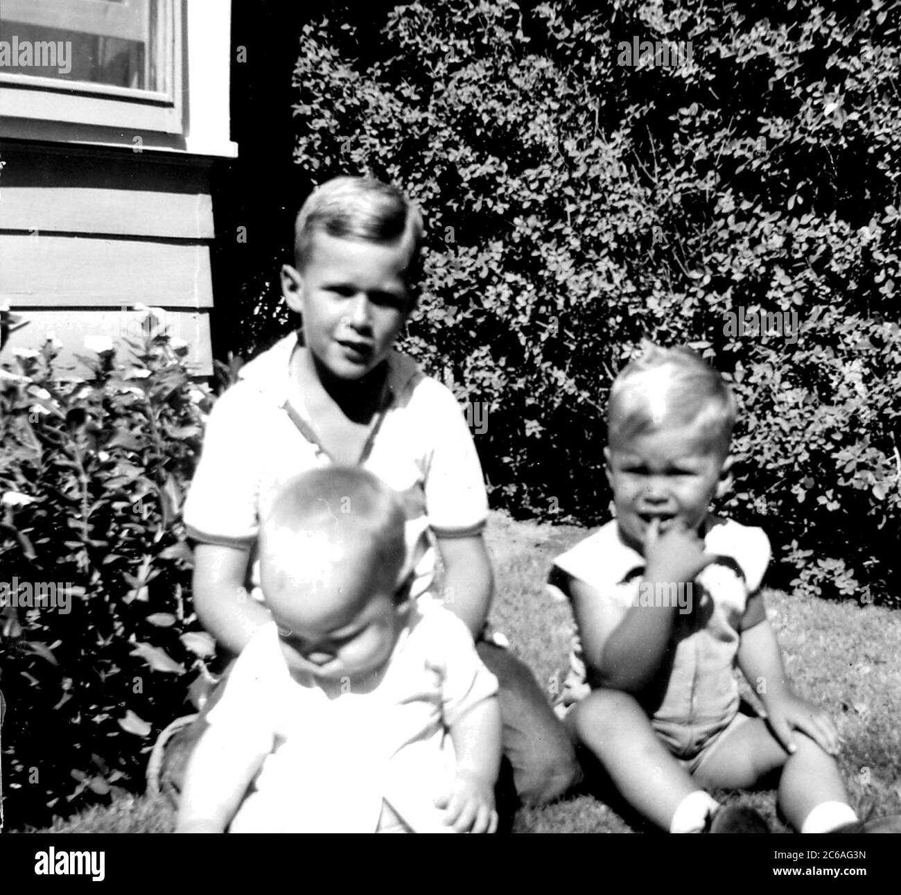 HS679 Nine-year-old George W., Bush with younger brothers Jeb and Neil ...