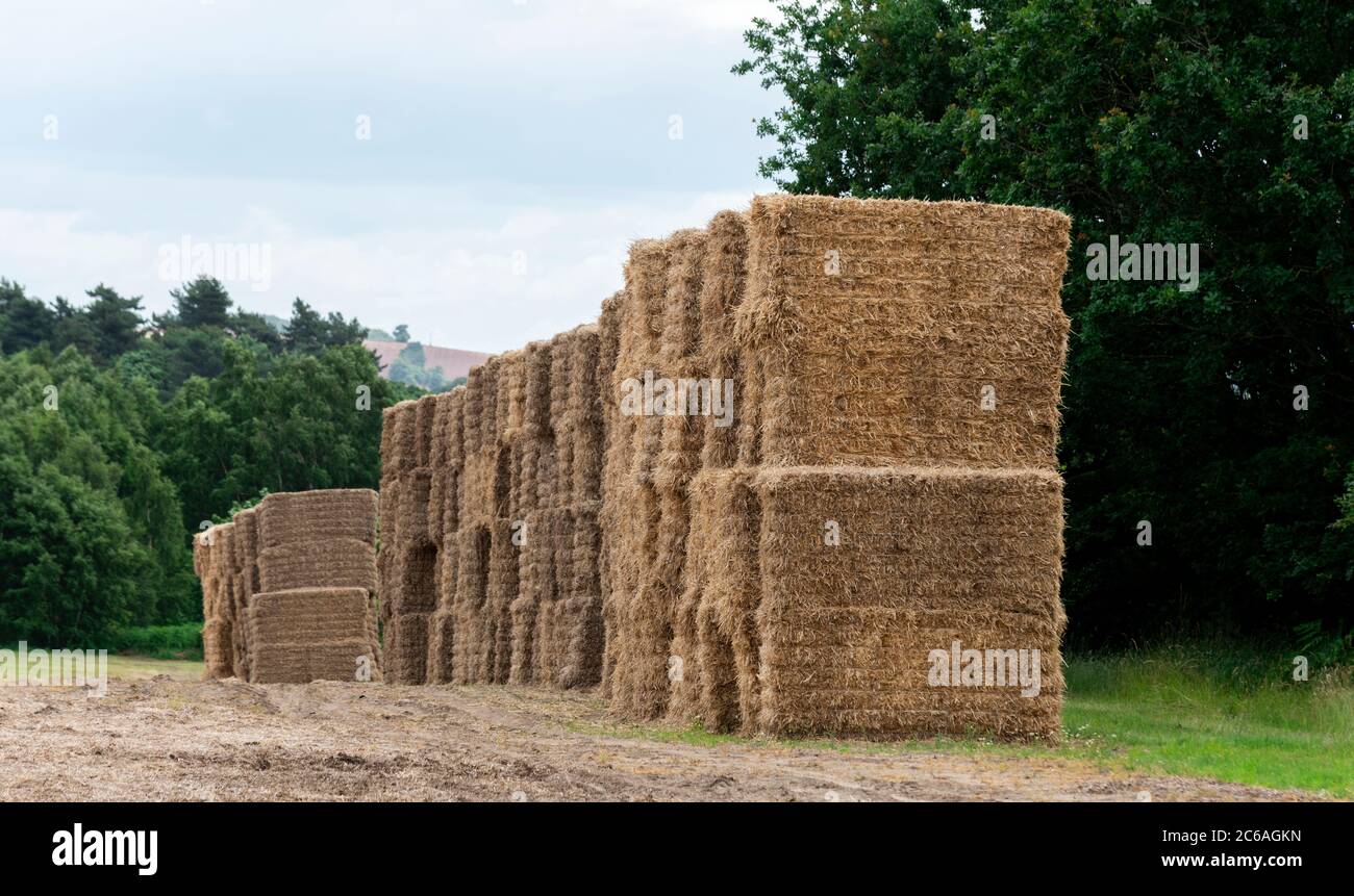 Hay baling hi-res stock photography and images - Alamy