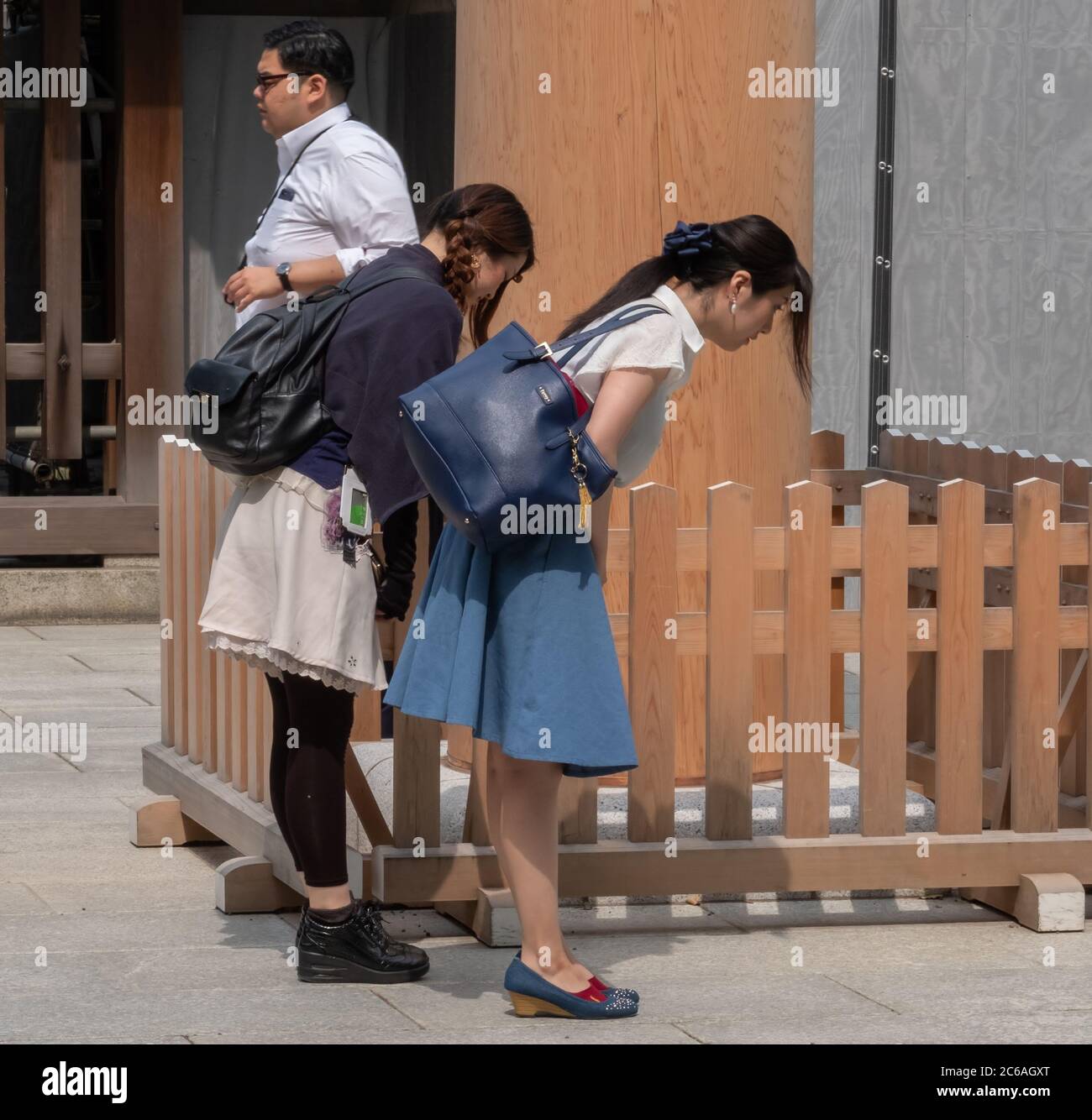 Local Japanese praying at the Meiji Jingu Shinto shrine, Tokyo, Japan ...