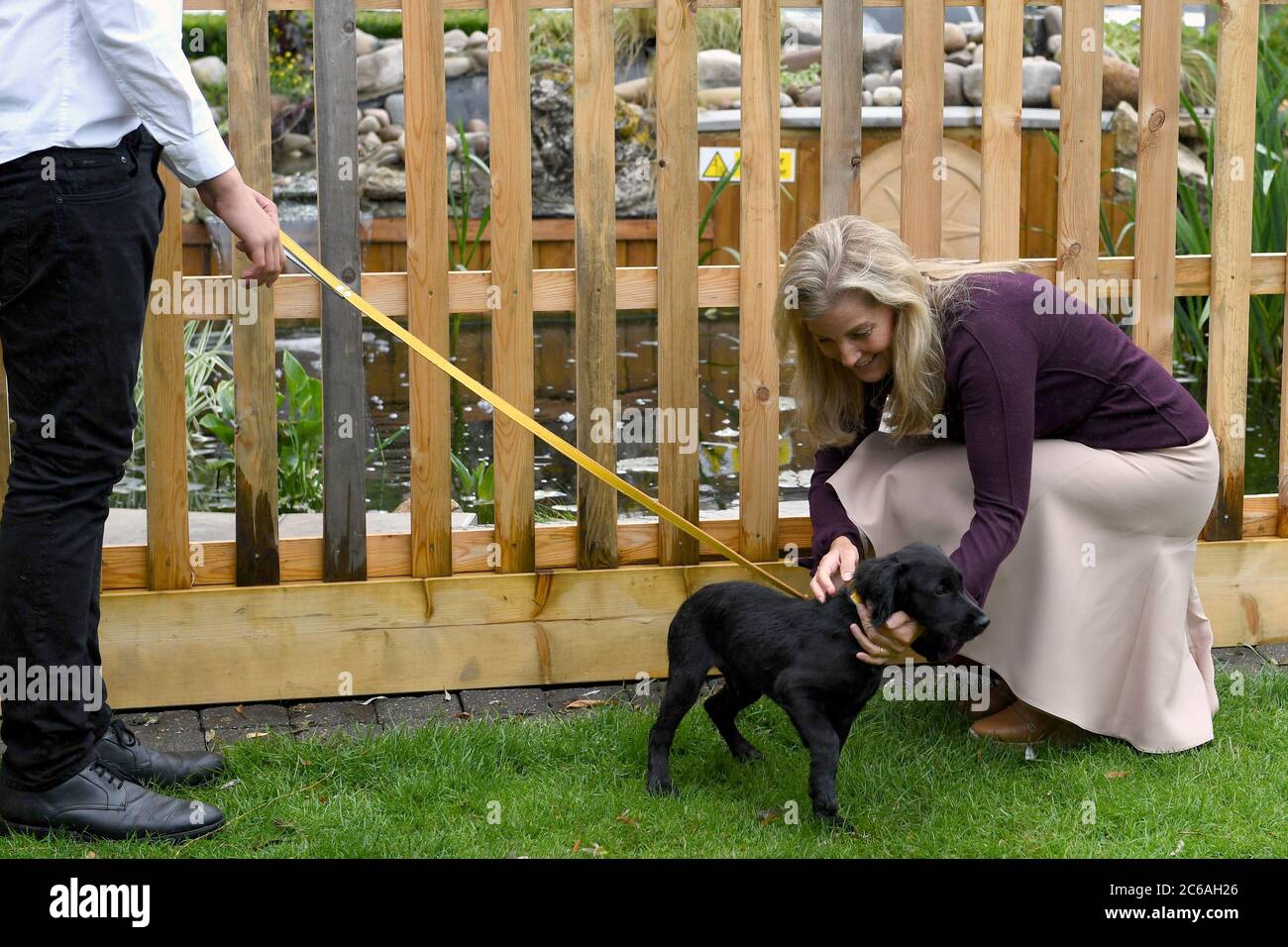 The Countess of Wessex pets the dog of Jamie Sturt during her visit to ...