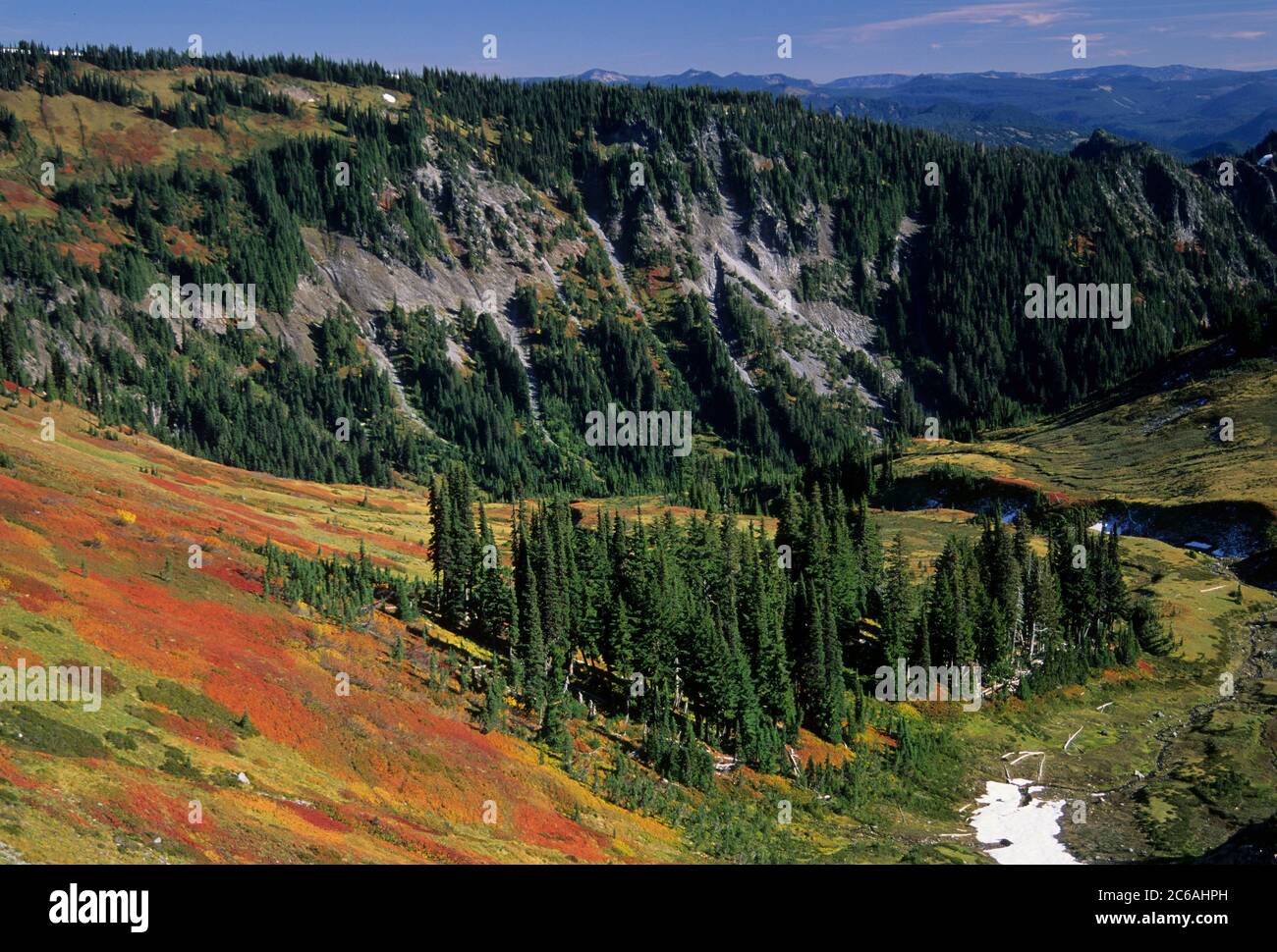 Stevens Creek drainage from Skyline Trail , Mt Rainier National Park ...