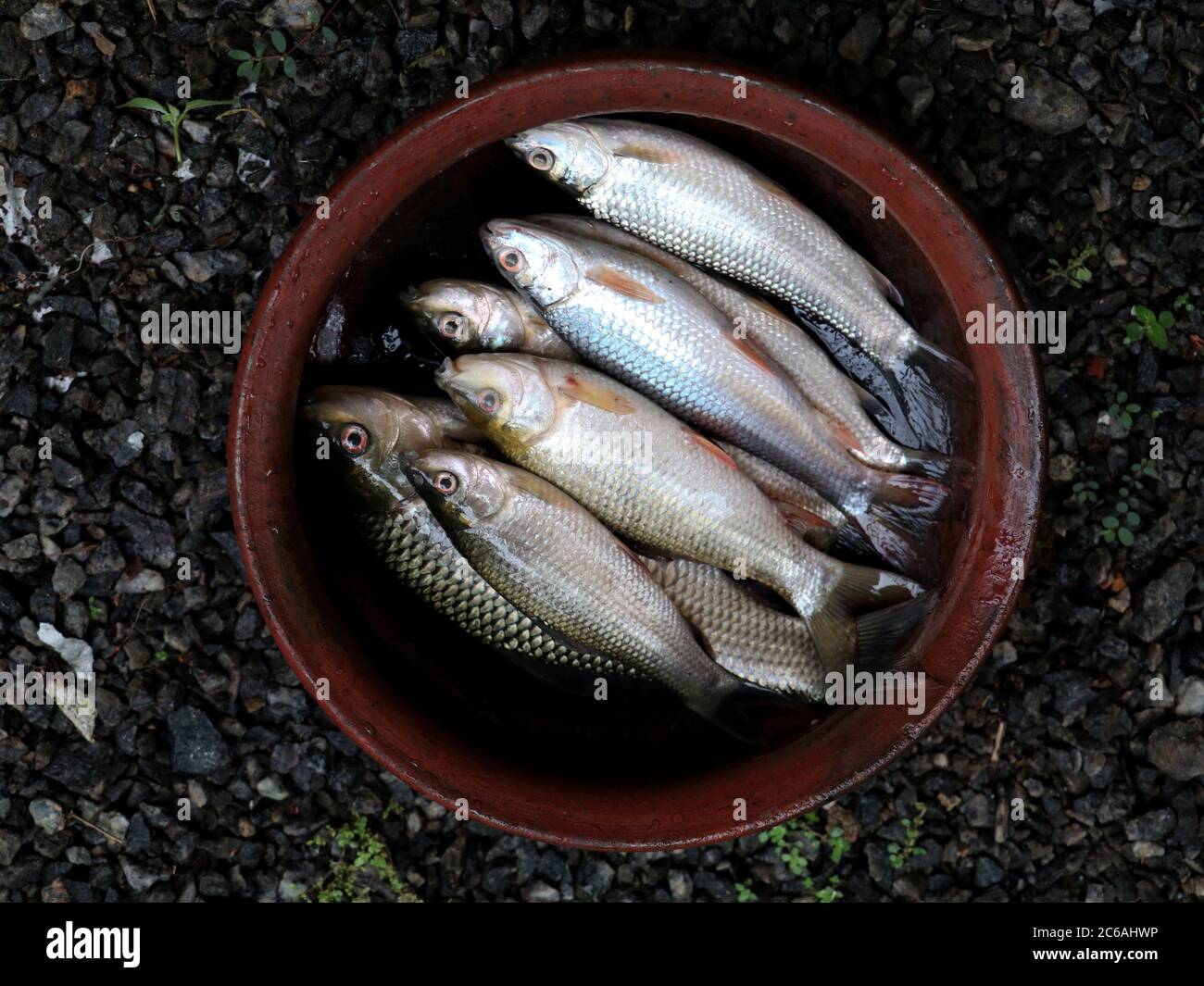Raw clay pond hi-res stock photography and images - Alamy