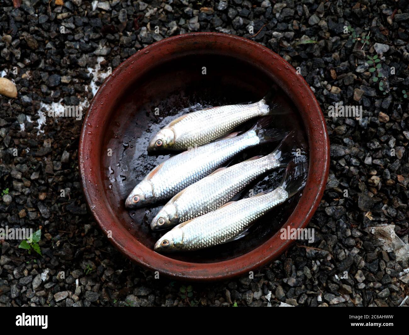 Raw clay pond hi-res stock photography and images - Alamy